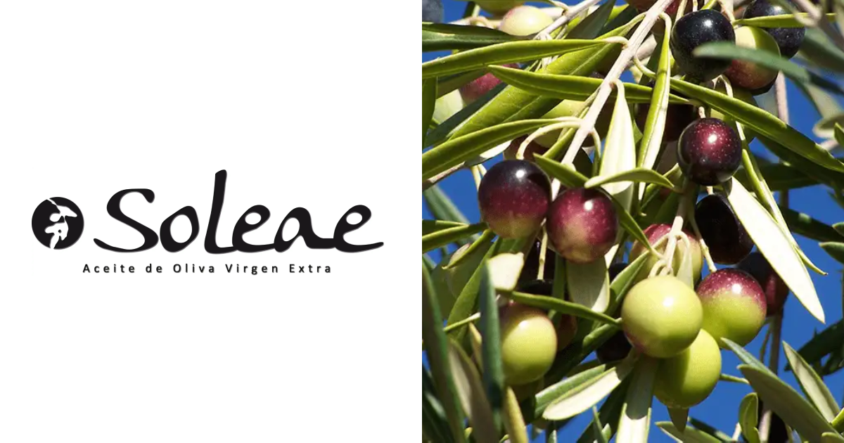 Soleae – Aceite de Oliva Virgen Extra